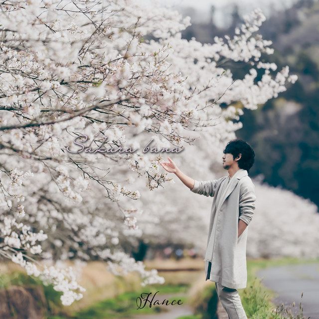 櫻花 - Single by HANCE | Spotify