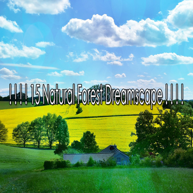 15 Natural Forest Dreamscape ! ! ! ! - Album by Nature Sounds Artists ...