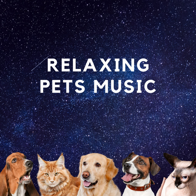 me-and-my-pet-song-and-lyrics-by-sleepy-dogs-cat-music-music-for
