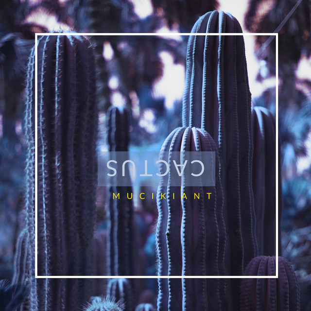 Cactus - Album by Mucikiant | Spotify