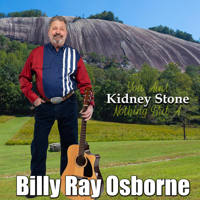 Kidney Stone (You Aint Nothing But A) - song by Billy Ray Osborne | Spotify
