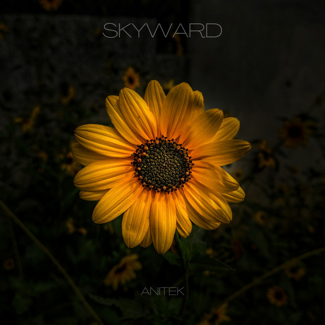 Skyward - Single by Anitek | Spotify