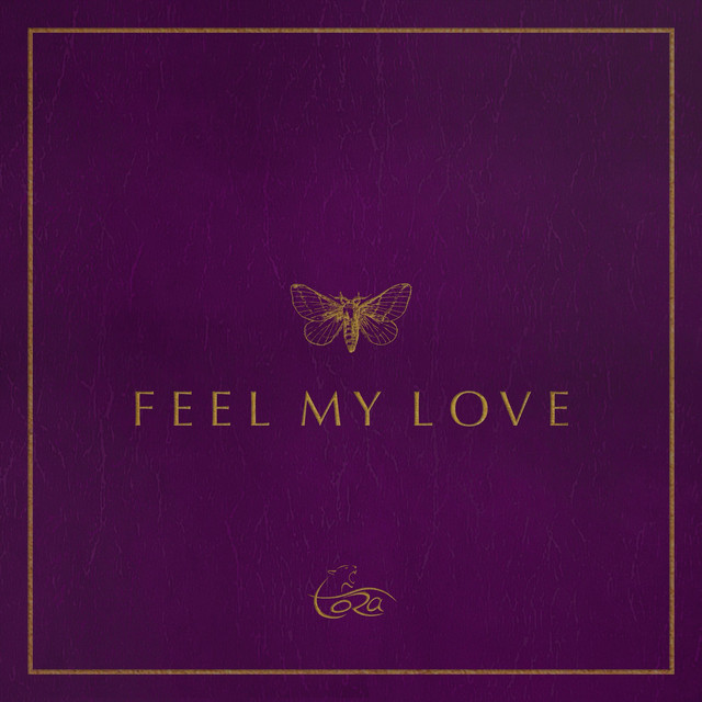 Feel My Love - song and lyrics by toRa | Spotify