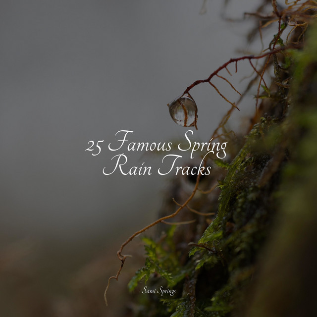 25 Famous Spring Rain Tracks - Album by Tranquil Music Sounds of Nature ...