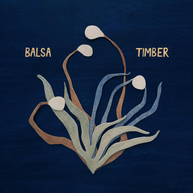TIMBER - EP by BALSA | Spotify