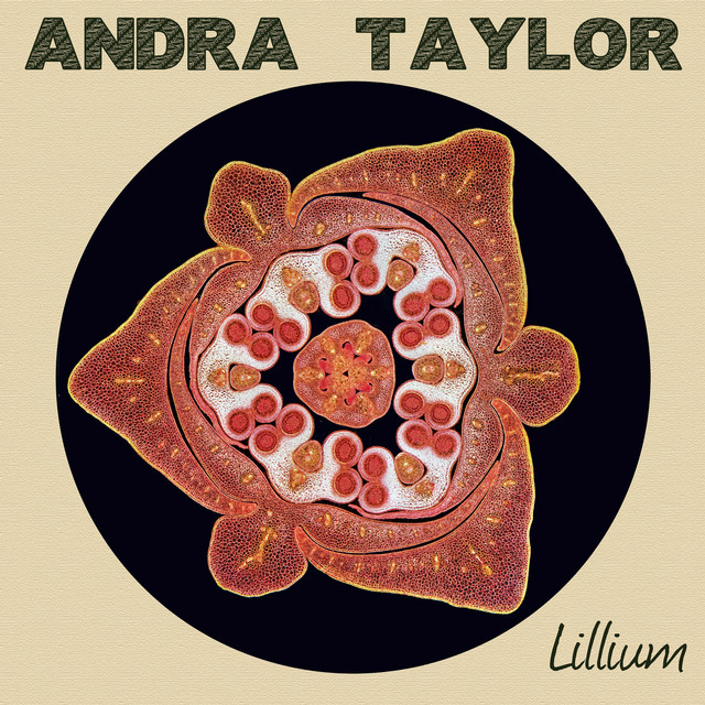 Andra Taylor Concert & Tour History | Concert Archives