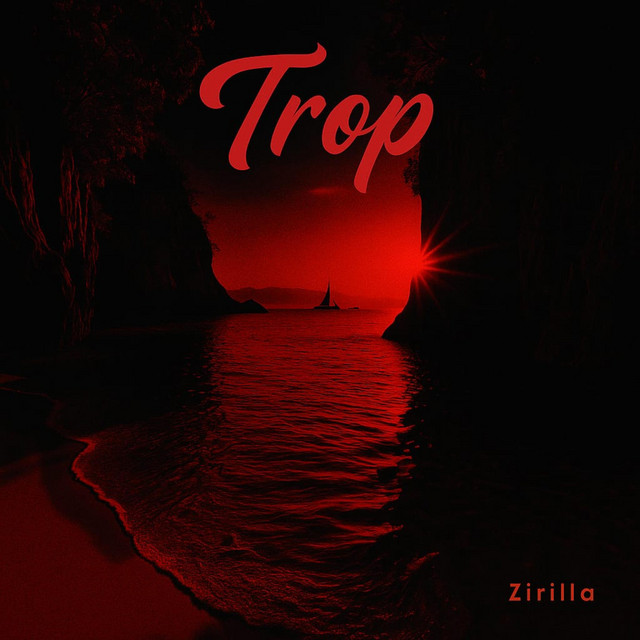 Trop - Single by Zirilla | Spotify