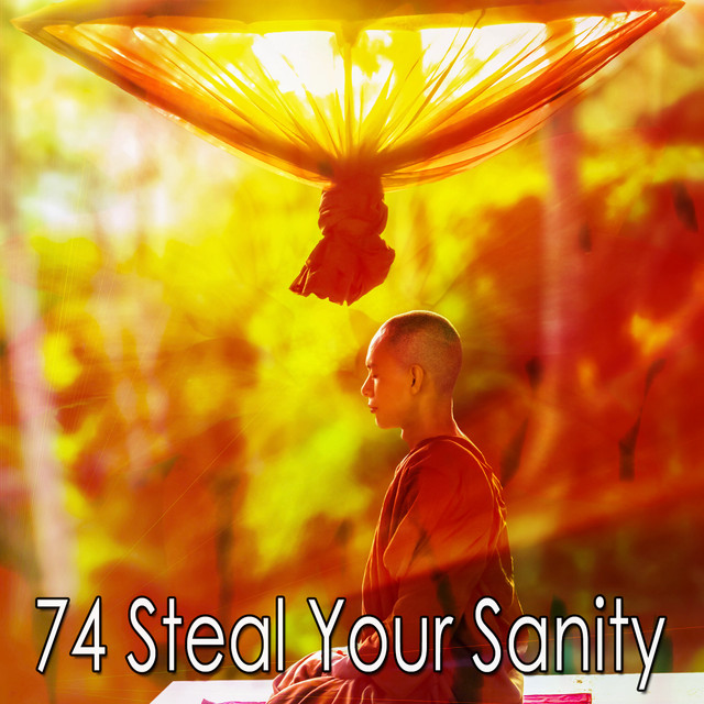 74 Steal Your Sanity - Album by Zen Music Garden | Spotify