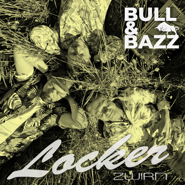 Locker BULL & BUZZ Remix - Single by Zwirn | Spotify