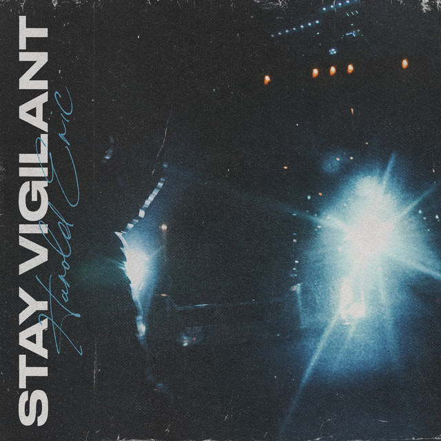 Stay Vigilant - Single by Harold Eric | Spotify