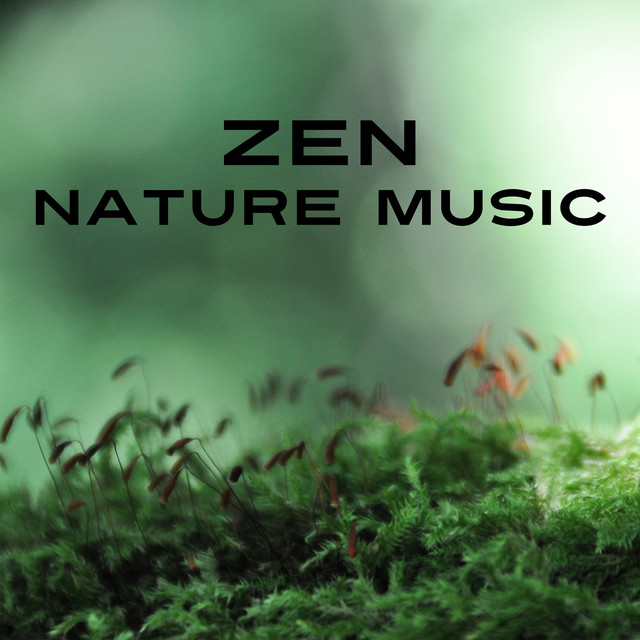 Zen Nature Music – Most Relaxation Sounds, Beauty of Nature, Chakra ...