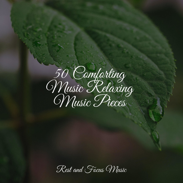 50 Comforting Music Relaxing Music Pieces - Album by Tranquility Spa ...