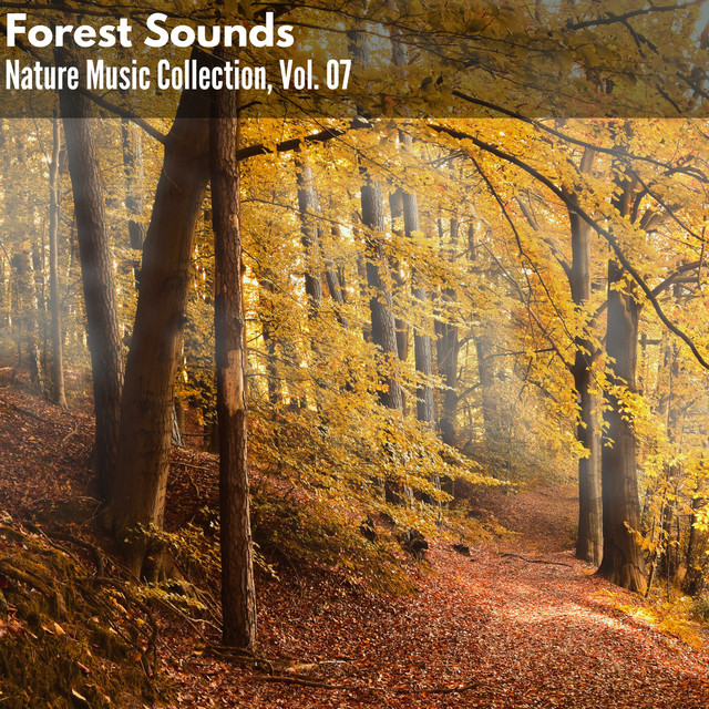 Forest Sounds - Nature Music Collection, Vol. 07 - Compilation by ...