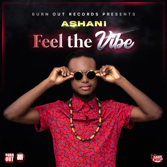 Feel the Vibe - Single by Ashani | Spotify