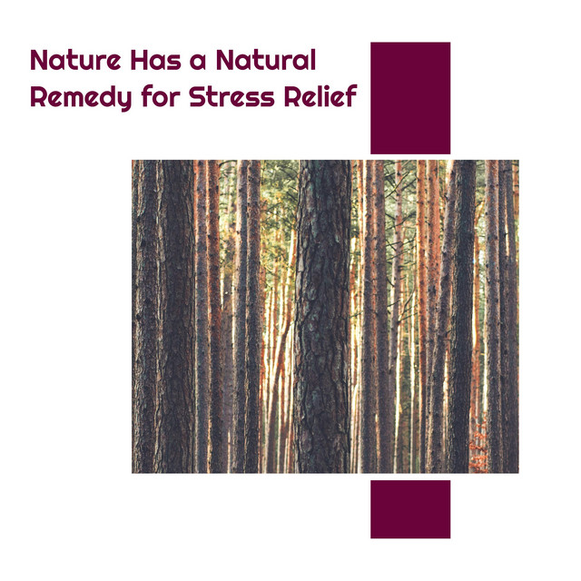 Nature Has a Natural Remedy for Stress Relief - Compilation by Various ...