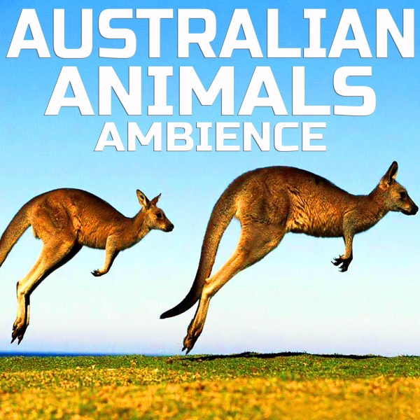 Australian Animals Ambience - EP by Australian Animals Ambience | Spotify