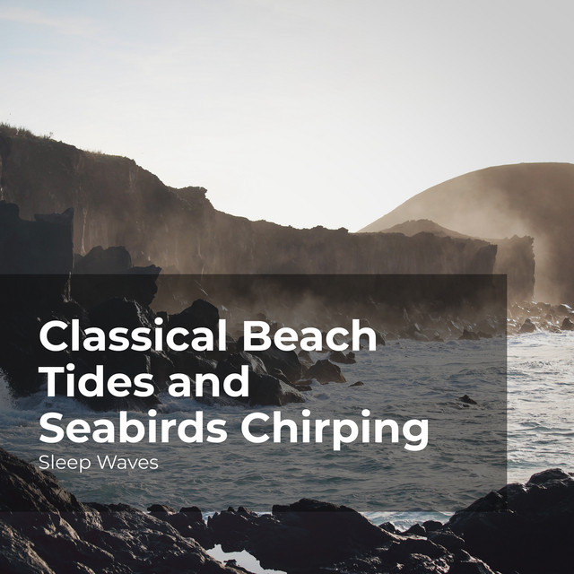 Classical Beach Tides and Seabirds Chirping - Album by Sleep Waves ...