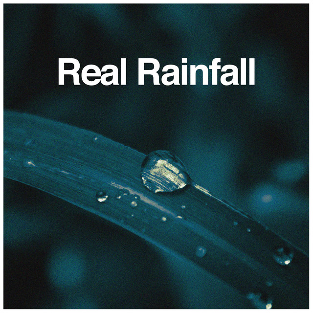 Real Rainfall ! ! ! ! - Album by Rainfall | Spotify
