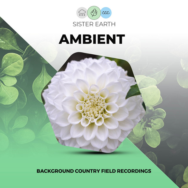 Background Ambient Country Field Recordings - Album by Sleep Sounds of ...