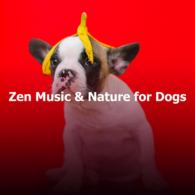 Zen Music & Nature for Dogs - Album by Music for Dog's Ears | Spotify
