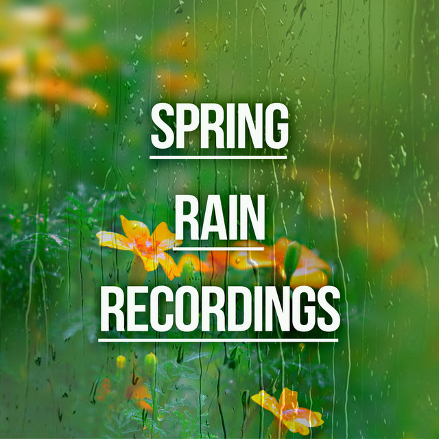 Delicate Raindrops Fall - song and lyrics by Weather and Nature ...