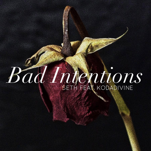 Bad Intentions - Single by Seth | Spotify