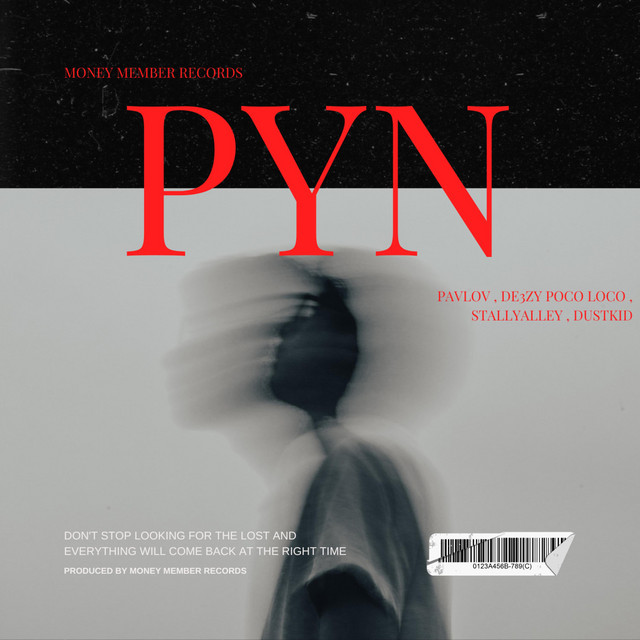 PYN - Single by Pavlov | Spotify