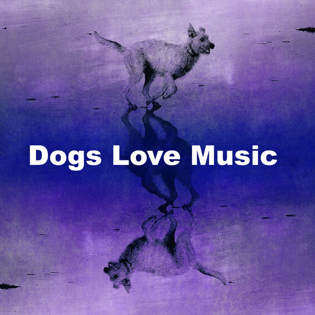 Dogs Love Music - Album by Sounds Dogs Love | Spotify
