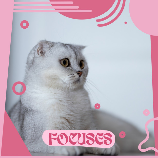 focuses - Single by Sonyakisa | Spotify