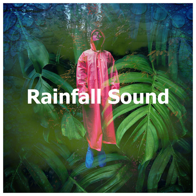 Rainfall Sound - Album by Rainfall Place | Spotify