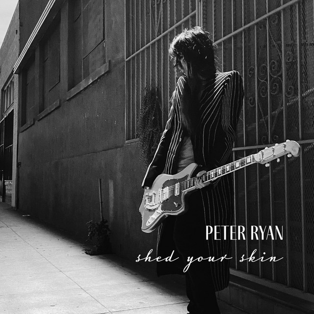 Shed Your Skin - song and lyrics by Peter Ryan | Spotify
