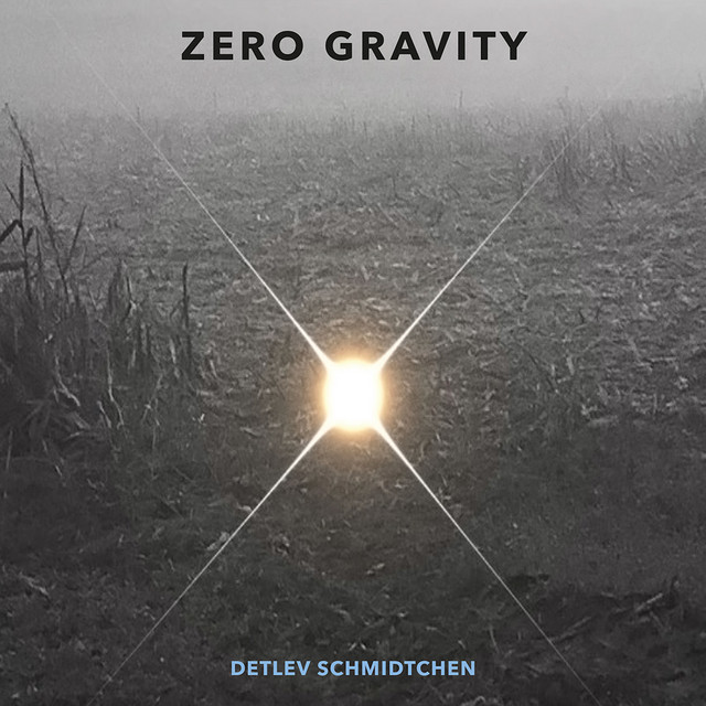 Zero Gravity - Album by Detlev Schmidtchen | Spotify