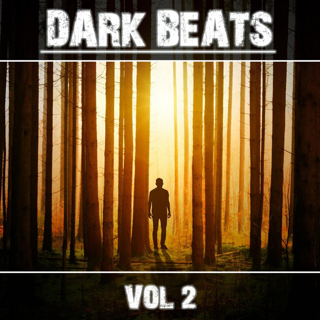 Dark Beats, Vol. 2 - Compilation by Various Artists | Spotify