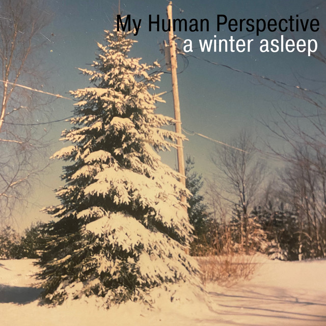 Falling First - Single by My Human Perspective | Spotify