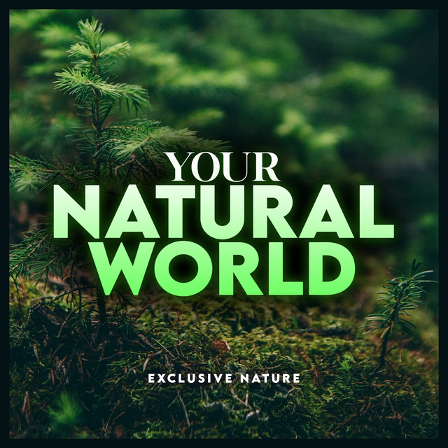 Your Natural World - Album by Exclusive Nature | Spotify