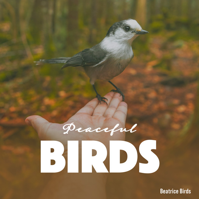 Peaceful Birds - Album by Beatrice Birds | Spotify