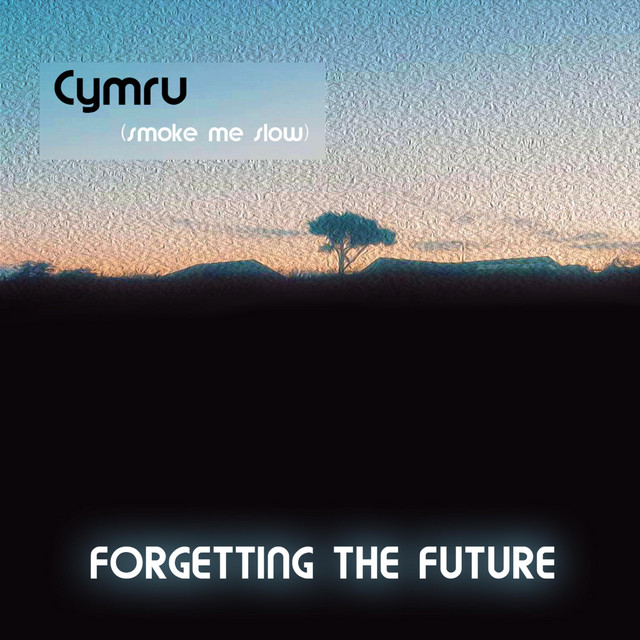 Cymru - Single by Forgetting the Future | Spotify
