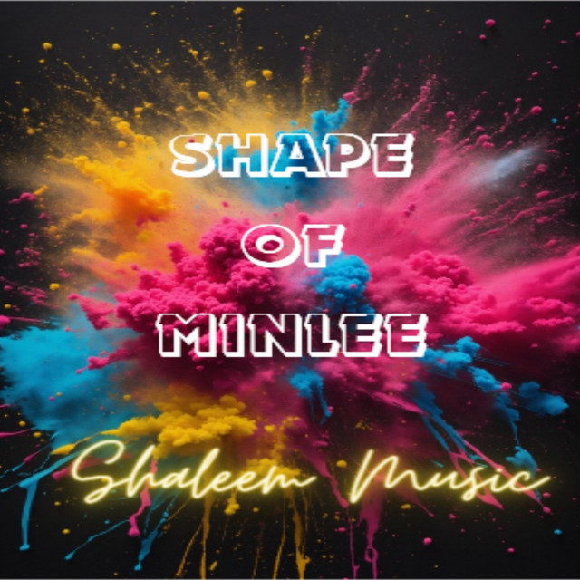 Shape of Minlee - Minlee Remix - song and lyrics by Shaleem Music ...