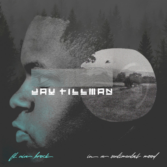 In a Sentimental Mood - Single by Jay Tillman | Spotify