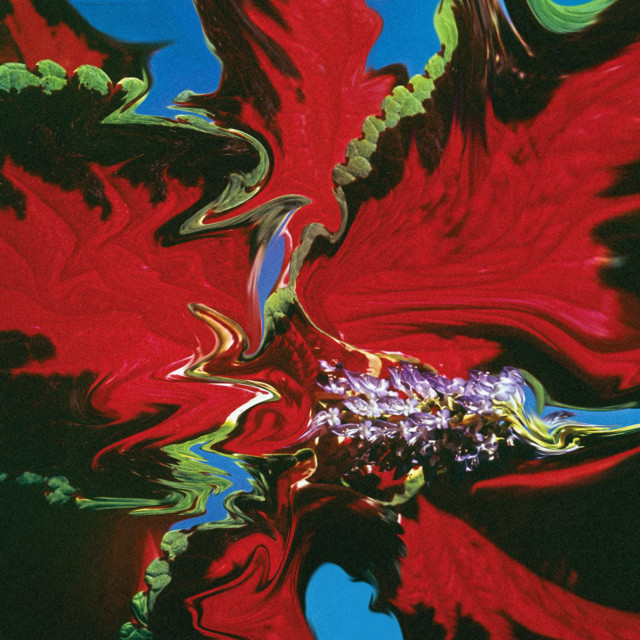 Deaf Florists | Spotify