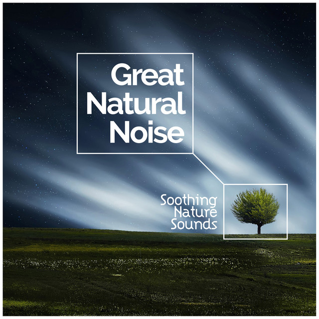 Great Natural Noise - Album by Soothing Nature Sounds | Spotify