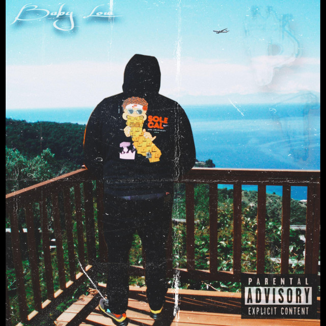 No Hook - Single by Baby Low | Spotify