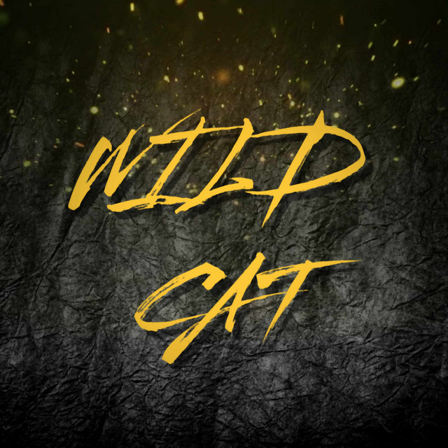 Wildcat - Single by Kaskobi | Spotify