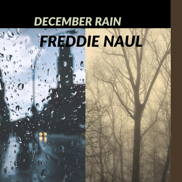 December Rain - Album by Freddie Naul | Spotify