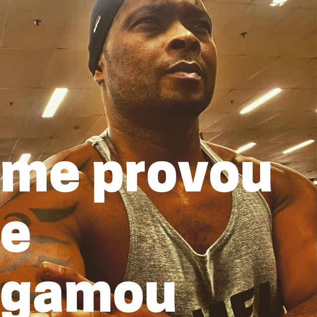 ME PROVOU E GAMOU - Single by David Bolado | Spotify