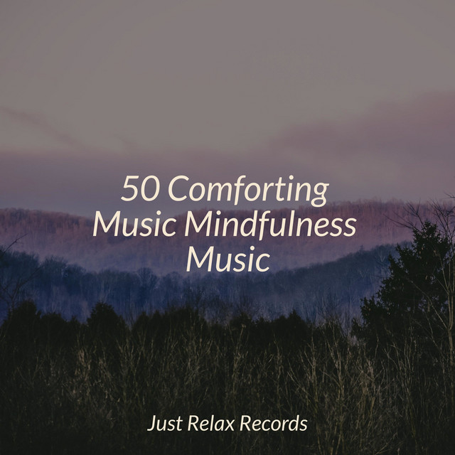 50 Comforting Music Mindfulness Music - Album by Sleep Baby Sleep | Spotify