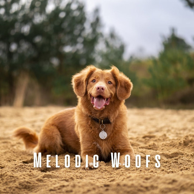 Melodic Woofs: Music for Joyful Dogs - Album by Peaceful Sounds Zone ...