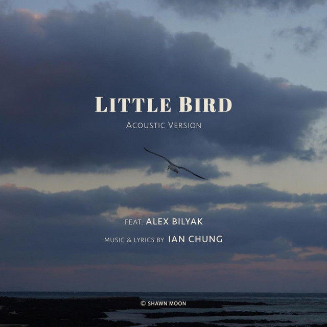 Little Bird (Acoustic Version) - Single by Ian Chung | Spotify