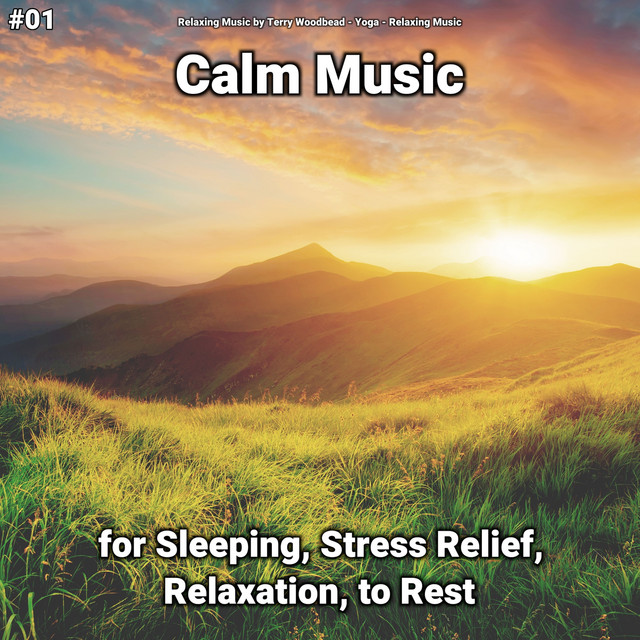 #01 Calm Music for Sleeping, Stress Relief, Relaxation, to Rest - Album ...