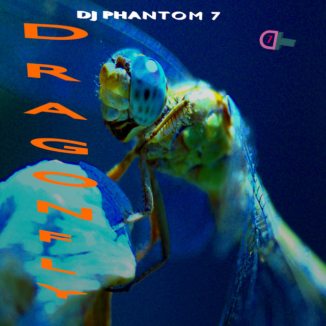Dragonfly - song and lyrics by DJ Phantom 7 | Spotify